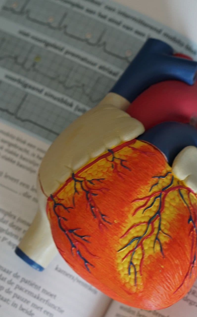 Comment préparer un ECG : le protocole à connaître