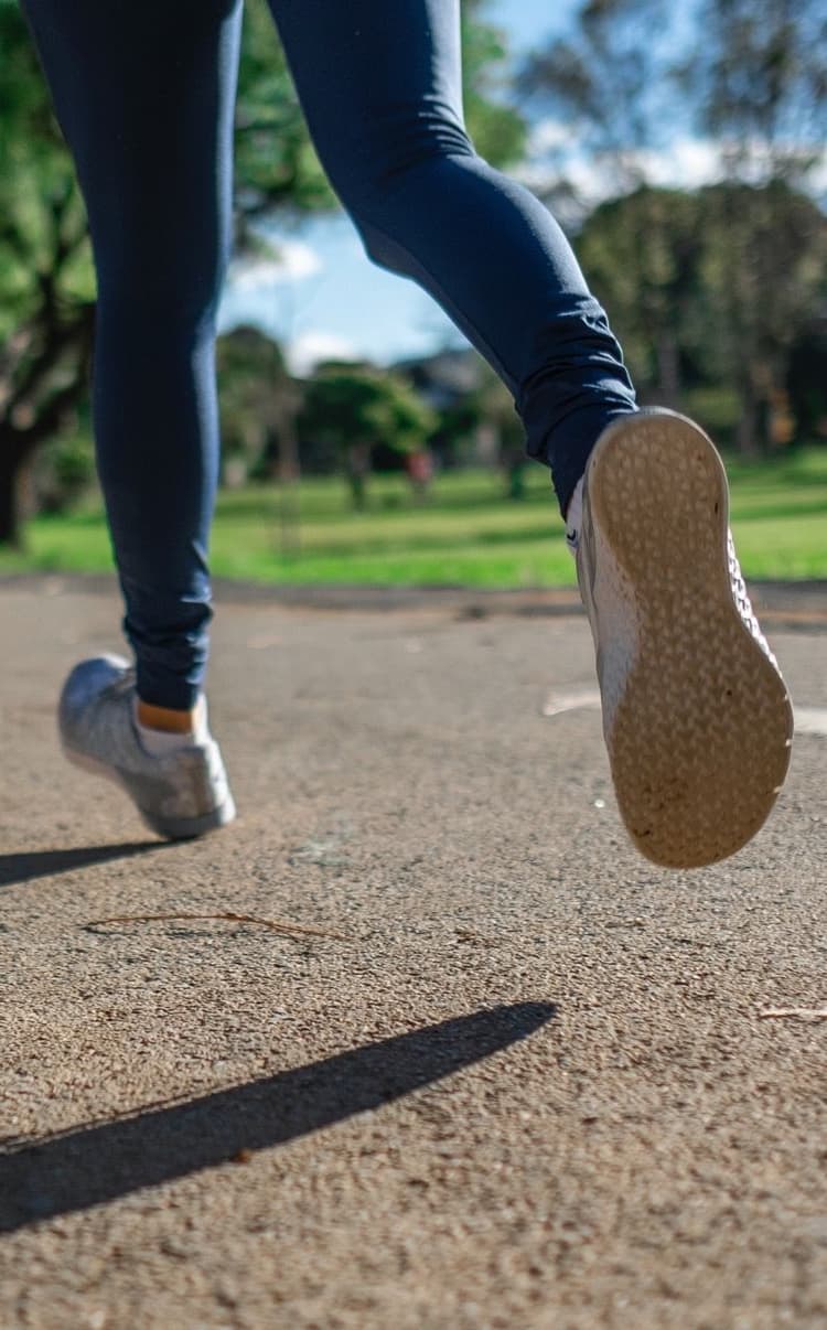 Le protocole de Stanish