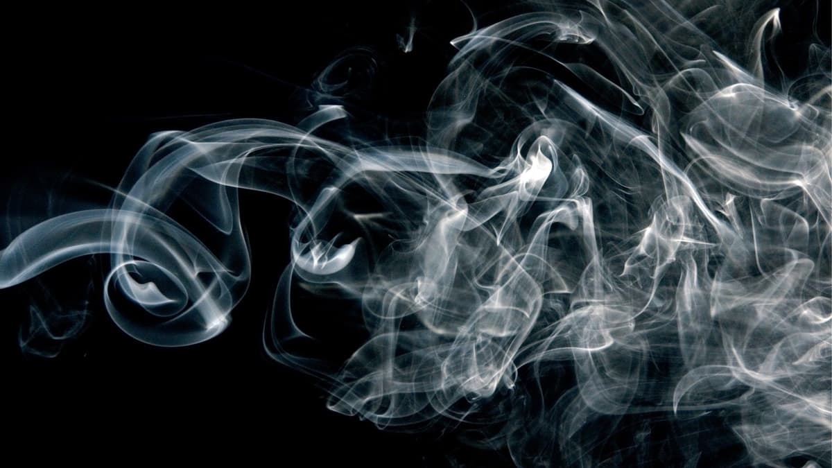 Pneumopathie Fiche Ide – Comment Diagnostiquer Une Pneumopathie – CACTPZ
